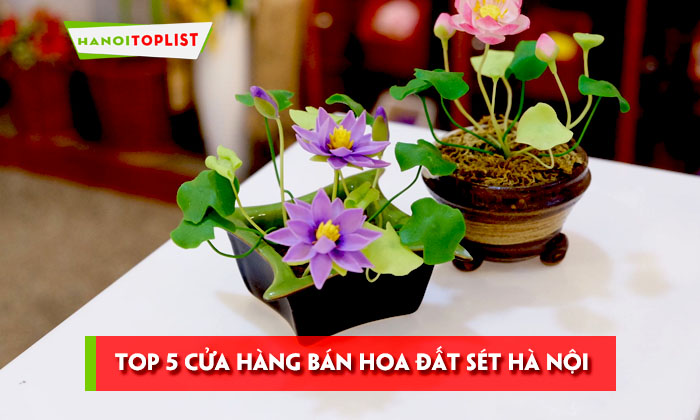 Top 8+ cửa hàng nổi tiếng bán hoa đất sét Hà Nội đẹp ngất ngây