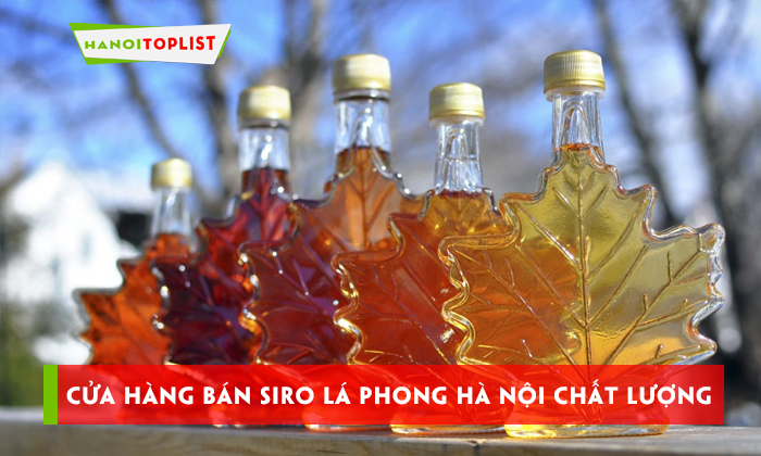 TOP 10+ cửa hàng bán siro lá phong Hà Nội chất lượng | Hanoitoplist
