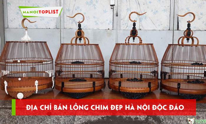 Lồng chim đẹp Hà Nội | TOP 11+ địa chỉ bán độc đáo | HaNoitoplist.com