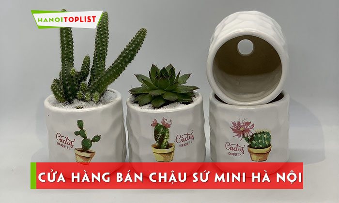 TOP 10+ Cửa hàng bán chậu sứ mini Hà Nội với giá hạt dẻ