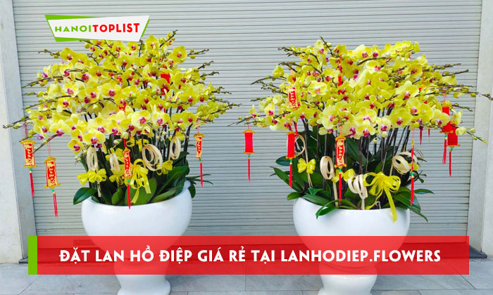 Đặt Lan Hồ Điệp giá rẻ giao tận nơi tại Lanhodiep.flowers | Hanoitoplist
